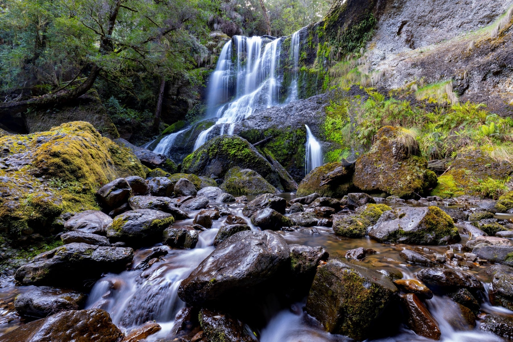 Tasmanian Prints | Champagne Falls | Tascape Images